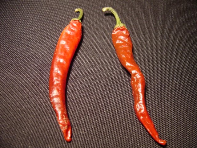 La Cocina de Chavez: Salsa chile cola de rata